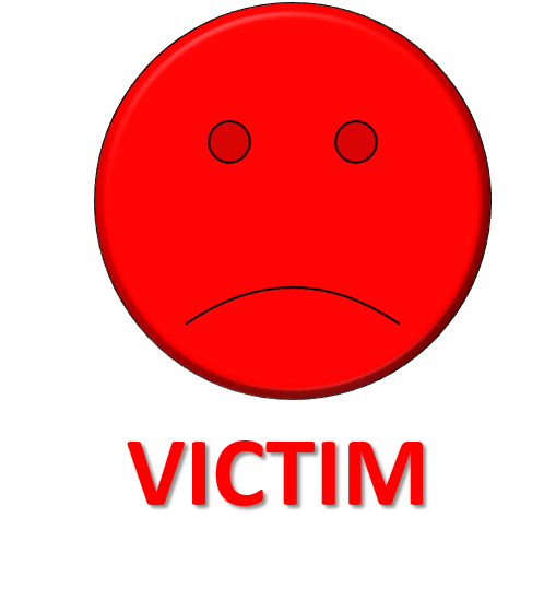 Webinário "Encore: Metáforas inspiradoras para coaches e treinadores ...