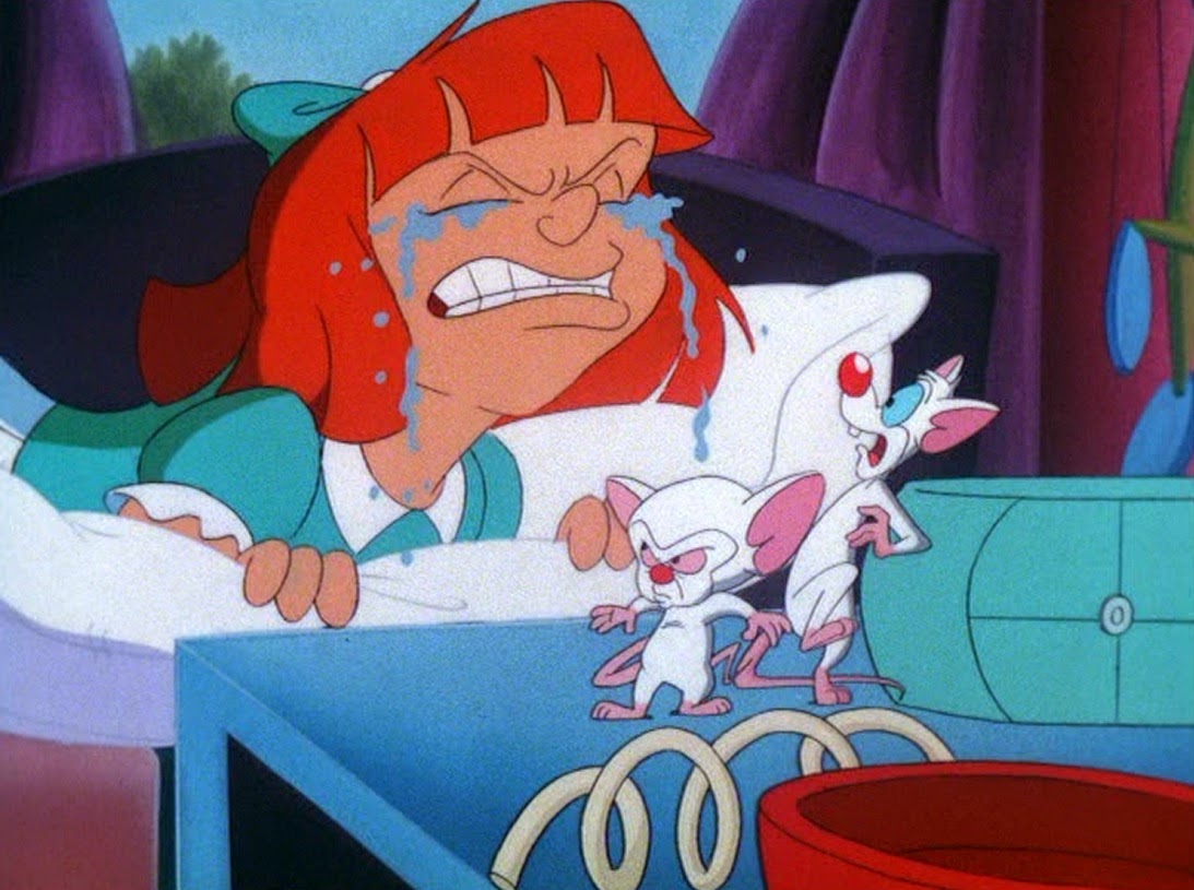 TV Rewind: Pinky, Elmyra & The Brain - "Party Night/The Mask of Braino"