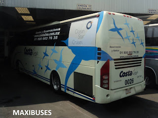 MAXIBUSES: COSTA LINE