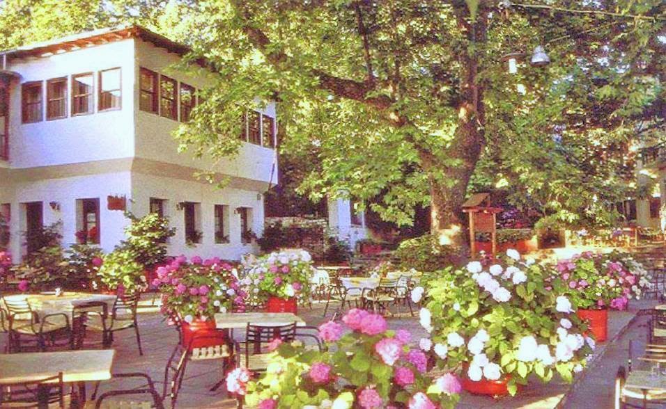 ☮ ΒΟΛΟΣ ΠΗΛΙΟ ΜΑΓΝΗΣΙΑ : ΠΟΡΤΑΡΙΑ ΠΗΛΙΟΥ.