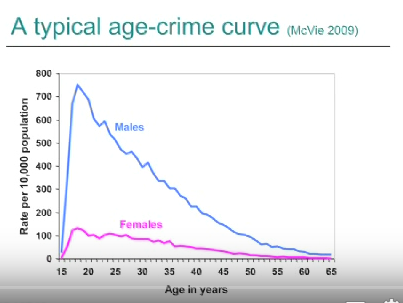 A L I C E ...through the ..LOOKING ..G L A S S..: Why do some young ...