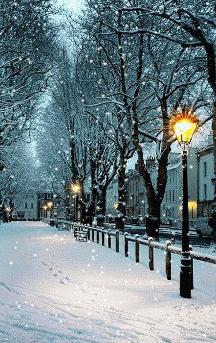 Gif_WINTER_Snowfall_ Animated Image_26 | Joy Design Studio