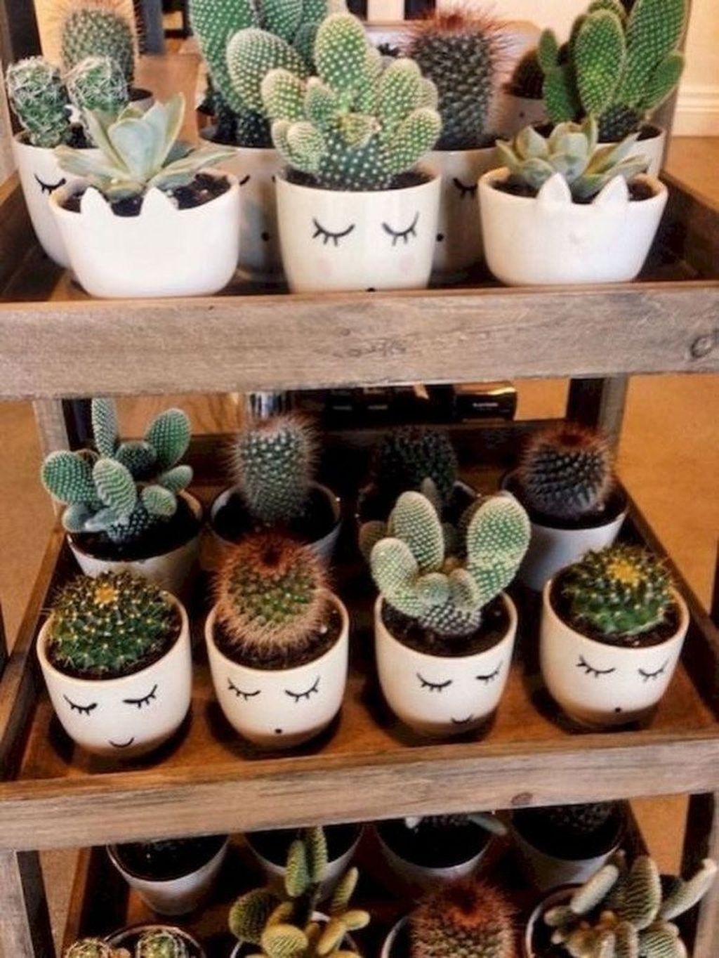 48 Cute Small Cactus Ideas To Maximize Your Interior Design | ARA HOME