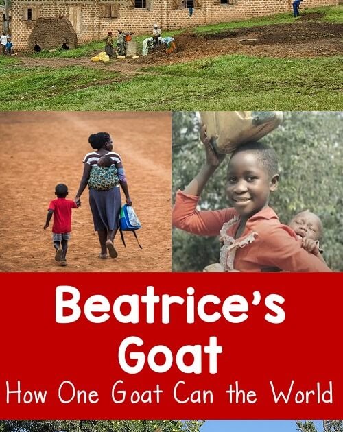 Kelly's Classroom Online: Beatrice's Goat by Page McBrier