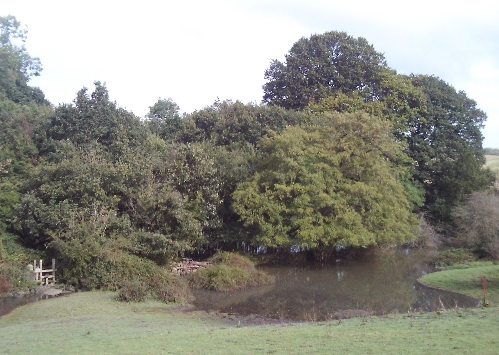 Walking The Peak: Dodworth, Hood Green, Hermit Hill, Bromley, Howbrook ...