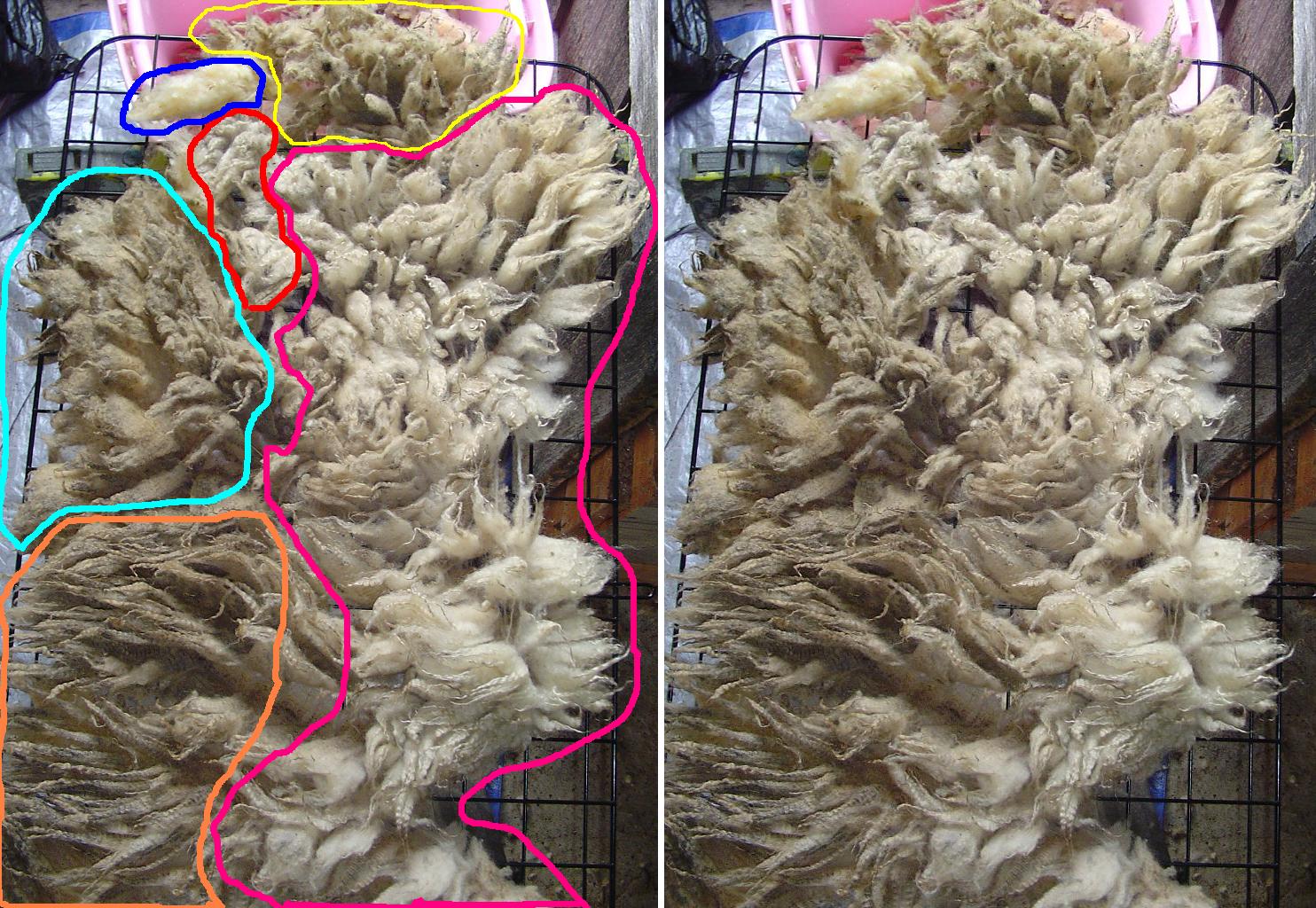Art, beauty and well-ordered chaos: Adventures in Wool: Step 1 ...