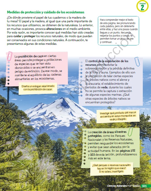 Profesor Daniel Parada N.