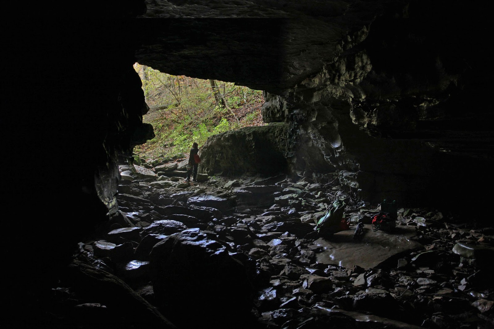 PINE HILL CAVE - ADAM HAYDOCK