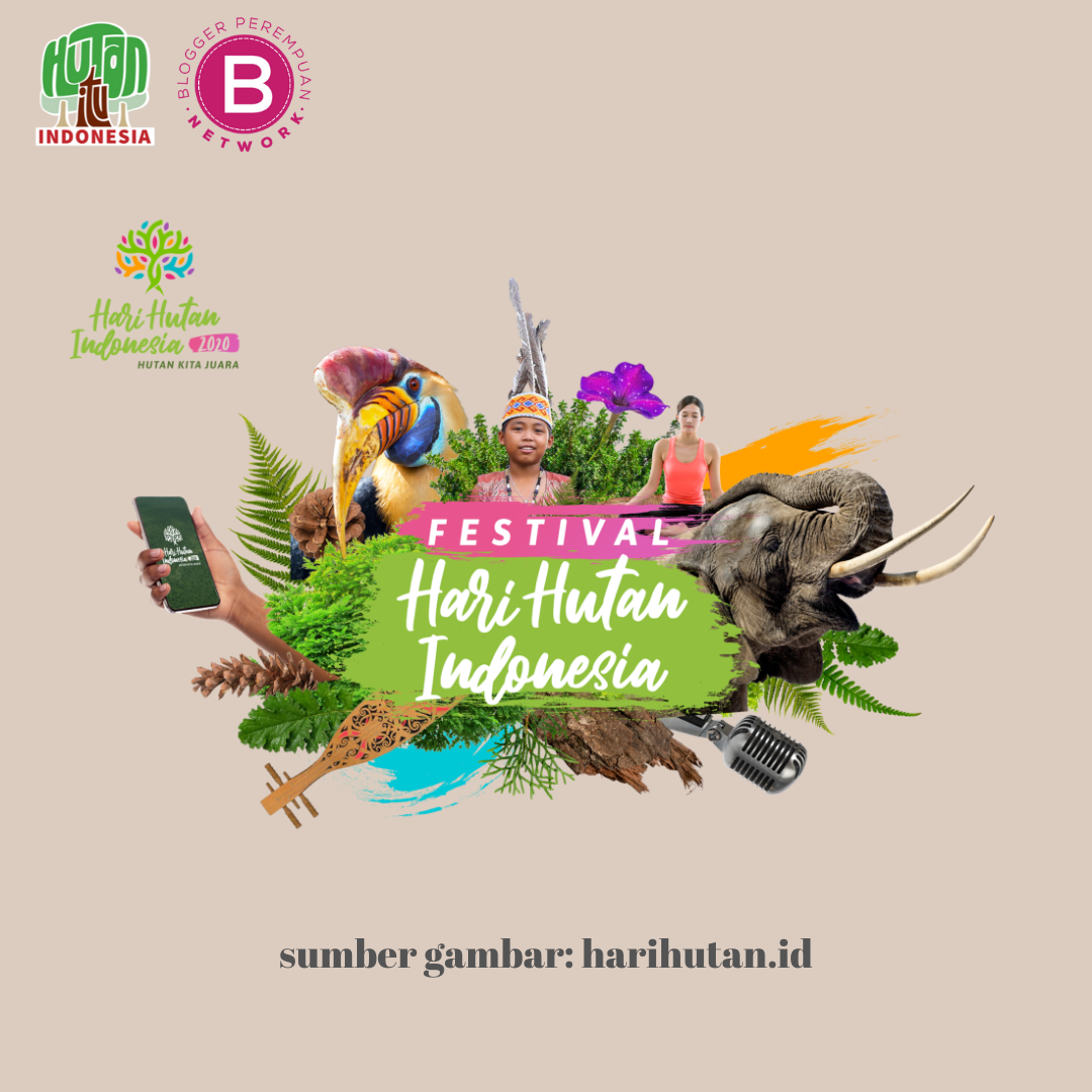 Hutan Sumatera dengan Segala Keindahannya - Everything About Ladya