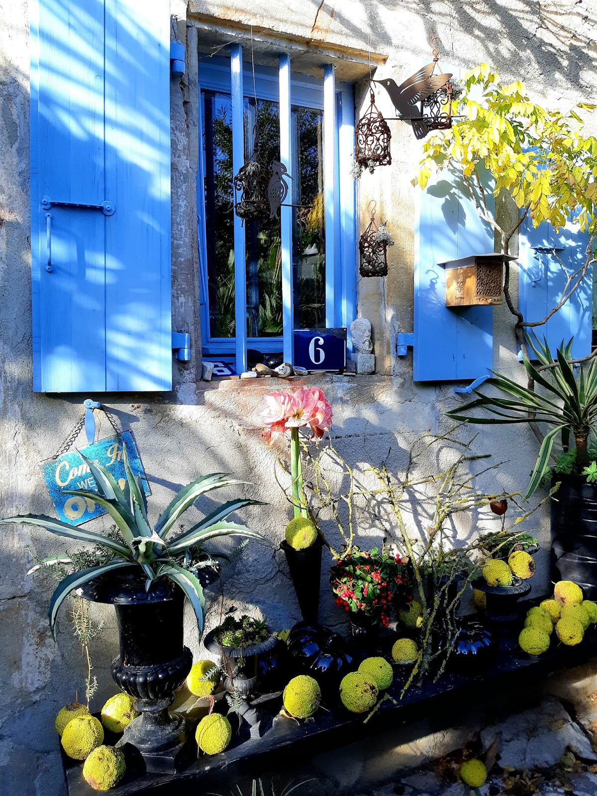 Ambiance automnale devant la maison