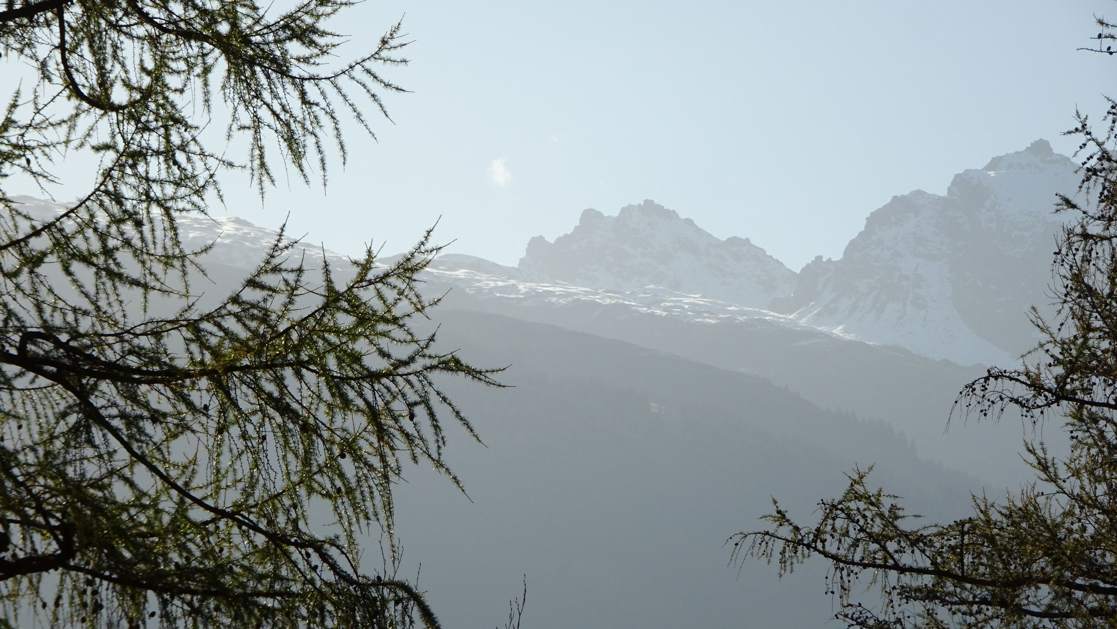 Rundwanderung ab Fläsch über den Regitzer Spitz (GR) – Wandern mit Freunden