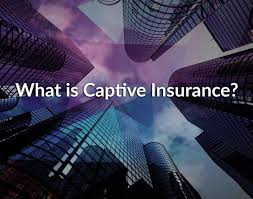 A Brief Introduction to Captive Insurance