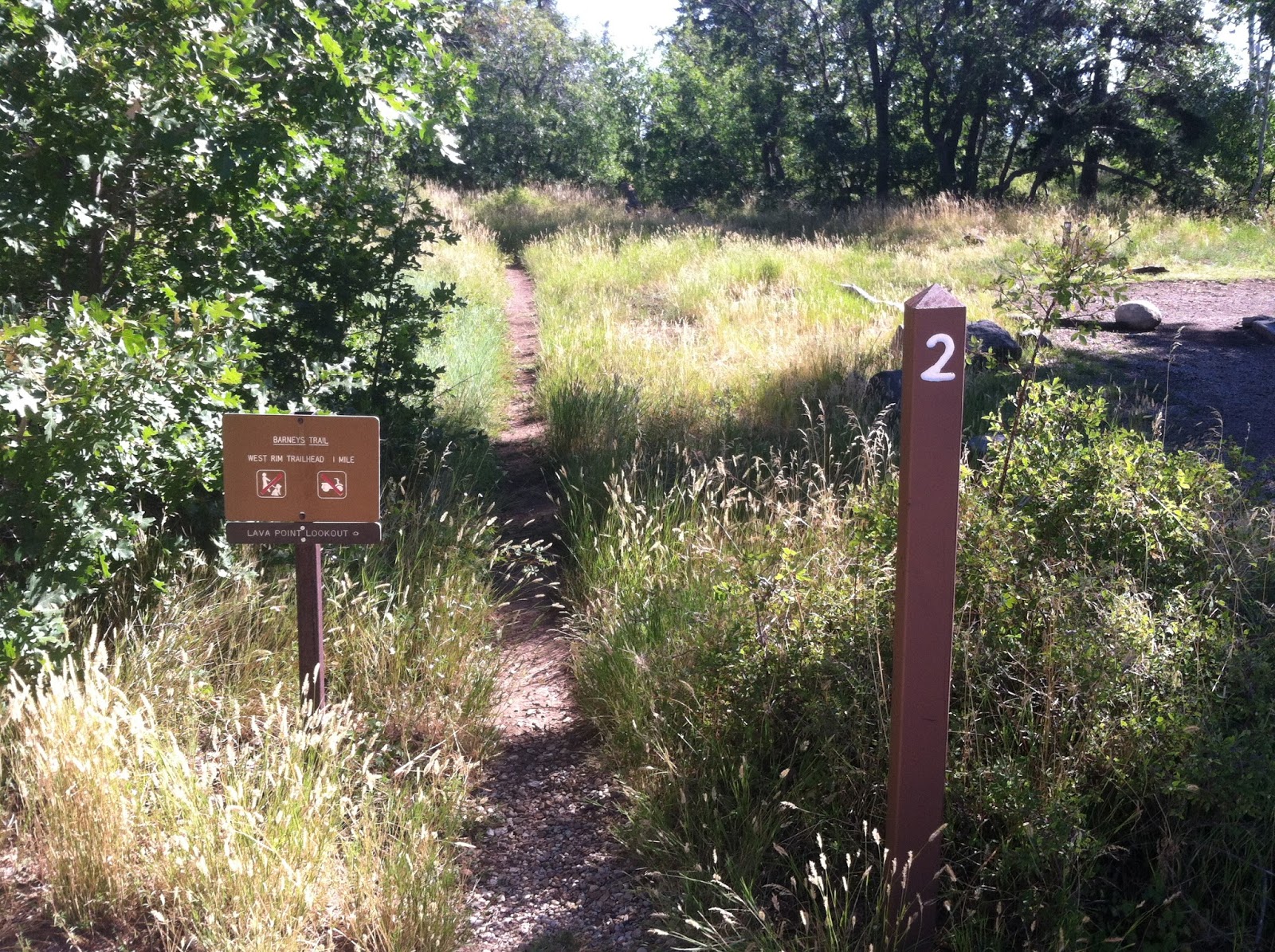 Myatt's Hikes: Lava Point Campground, Zion National Park