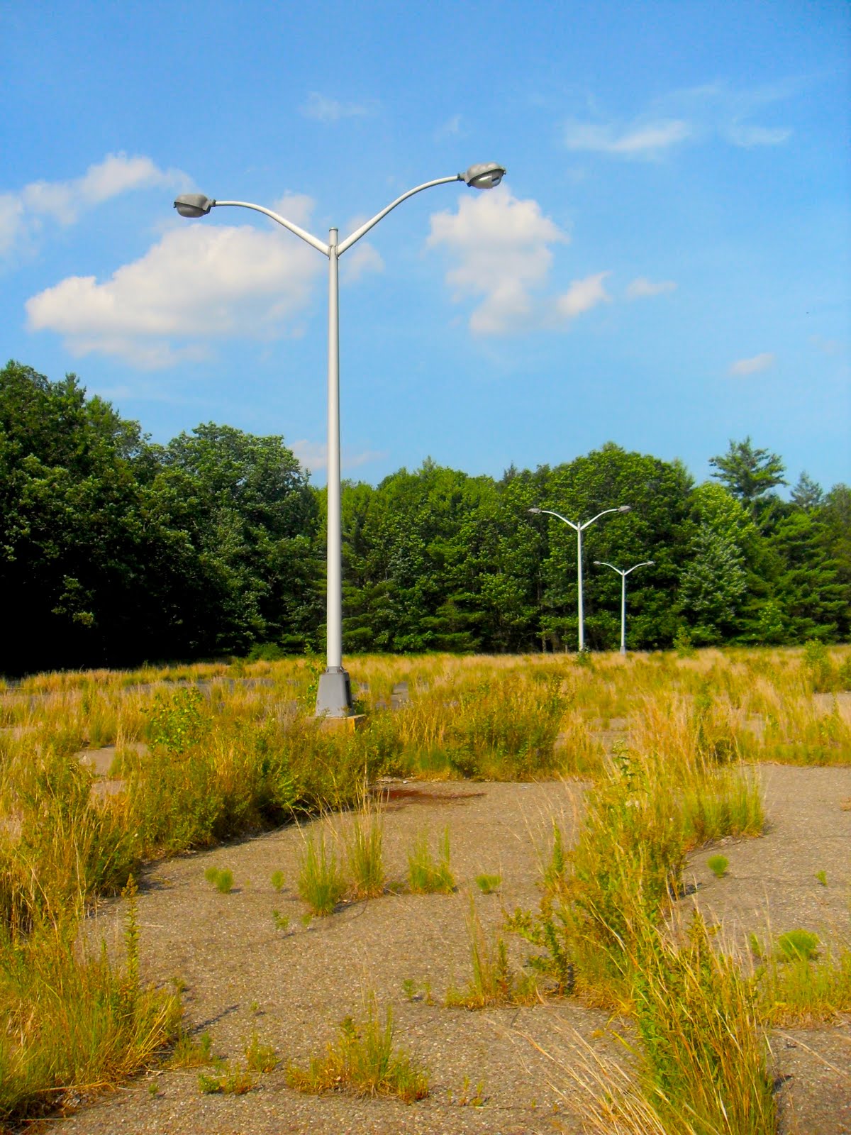 ART SKOOL DAMAGE : Christian Montone: Memento Mori: The Ghost Of Angela ...