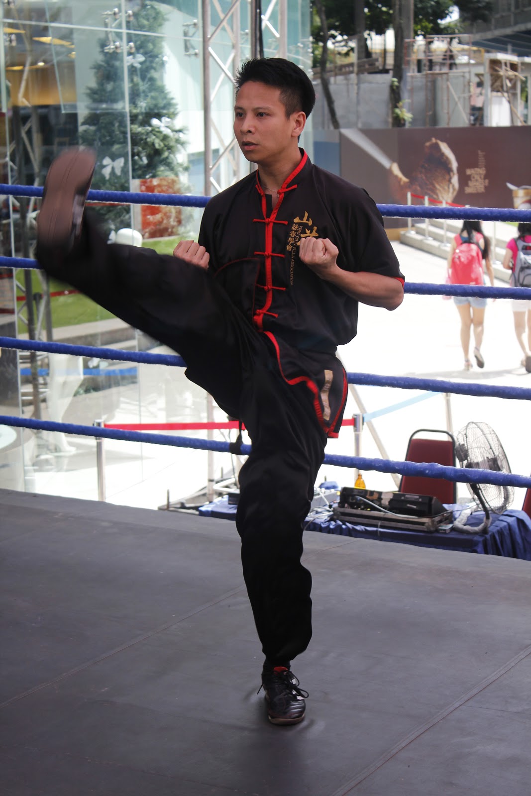 MALAYSIA INTERNATIONAL VING CHUN KUNG FU FEDERATION: WORLD WING CHUN ...