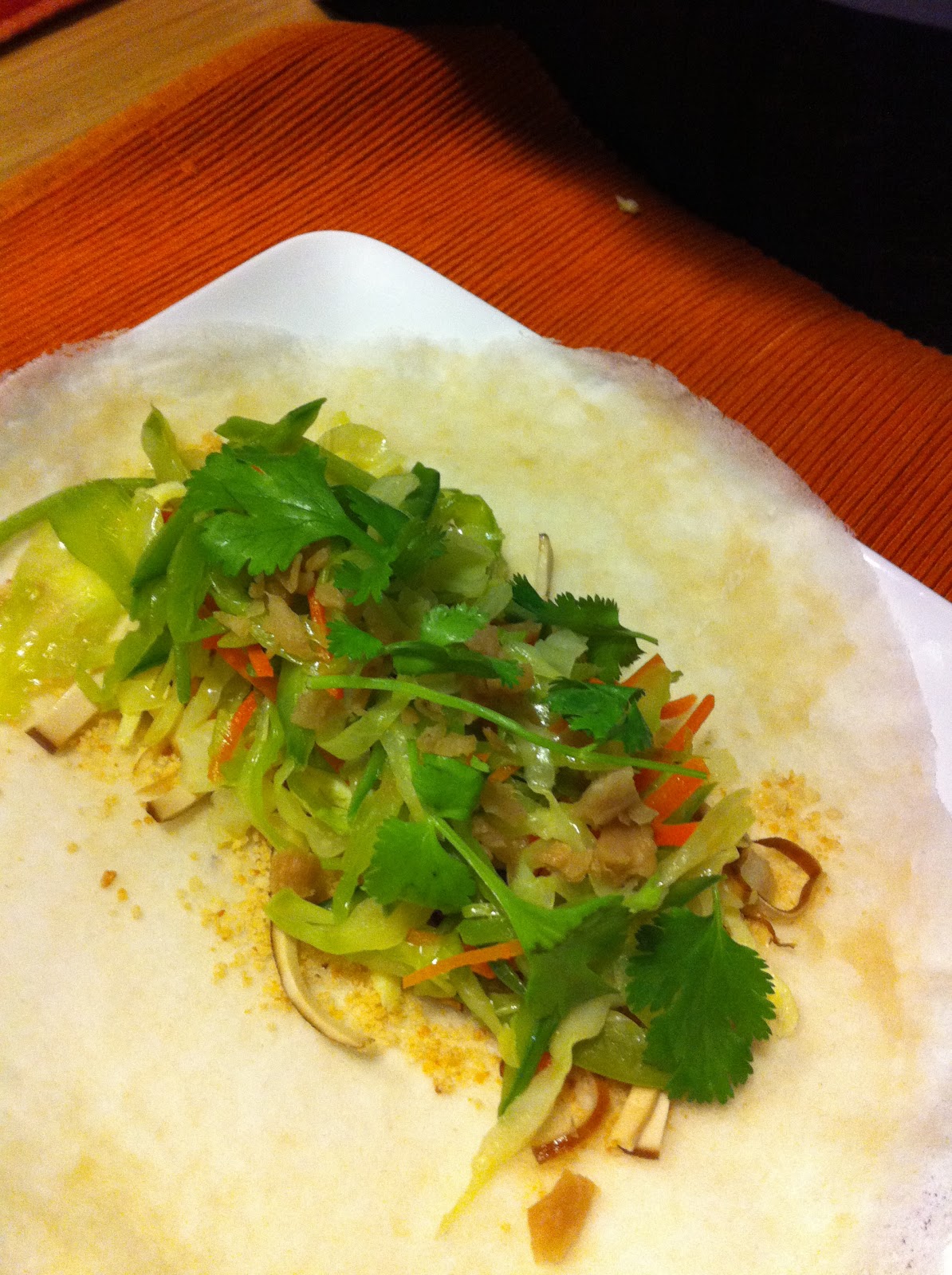 Burst: Taiwanese Burrito (aka Taiwanese Spring Rolls)