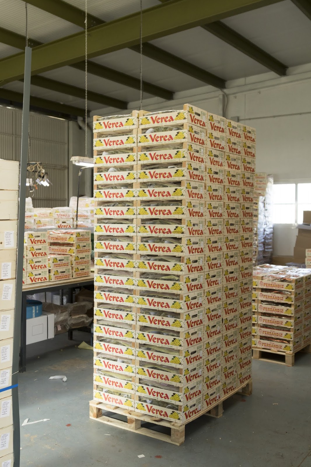 Uvas Ferrandiz: Formatos y Variedad de Uva