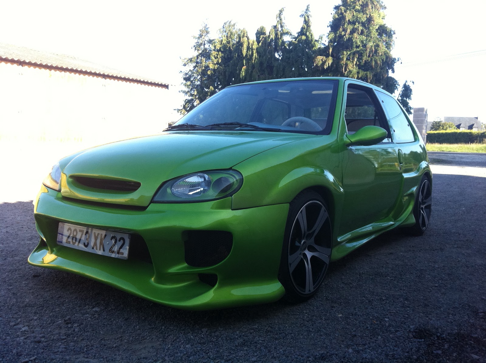 sellerie du cap: SAXO TUNING