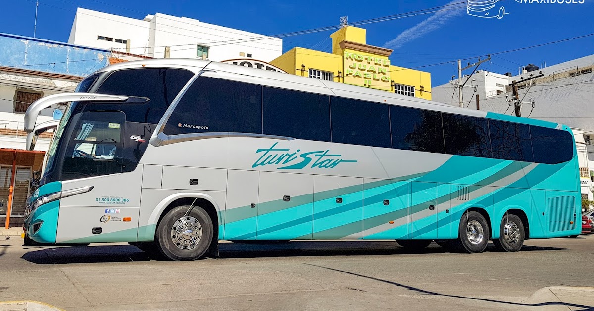 MAXIBUSES: TURISTAR