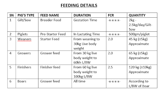 HOW TO START PIG FARMING PROJECT (10+01) PROFIT AND EXPENDITURES