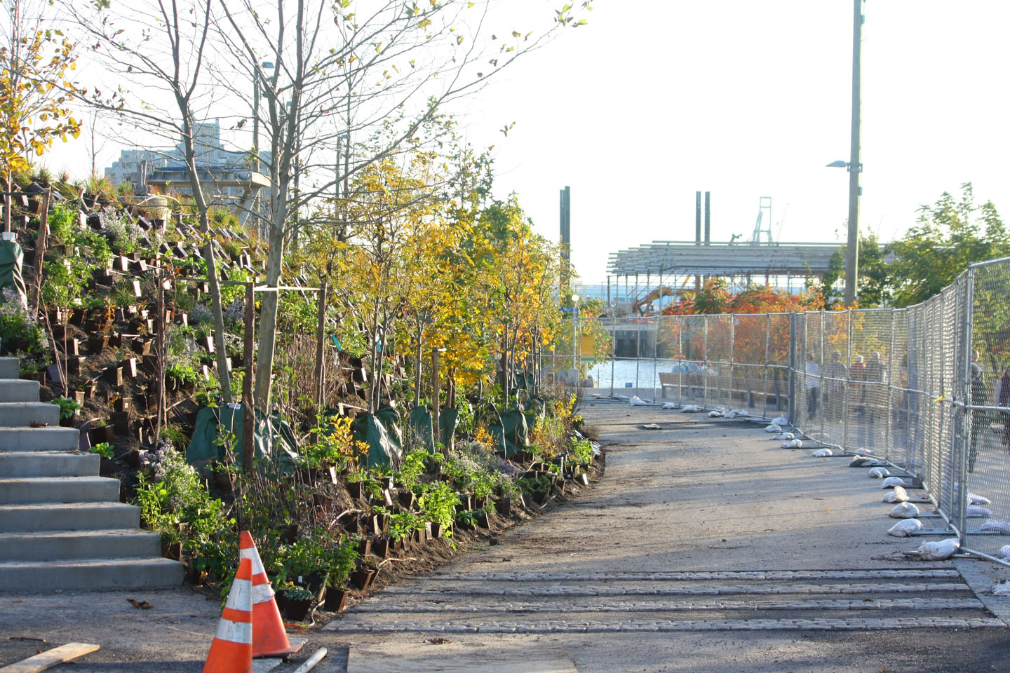 66 Square Feet (Plus): Fall in Brooklyn and what price, a park?