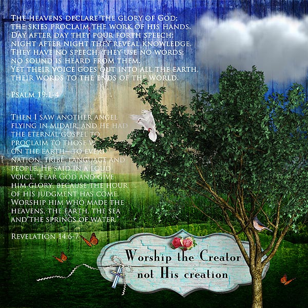 Layout for Today: Creation