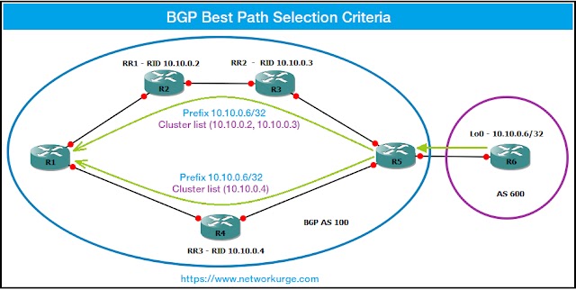 Network Urge | An Urge To Learn