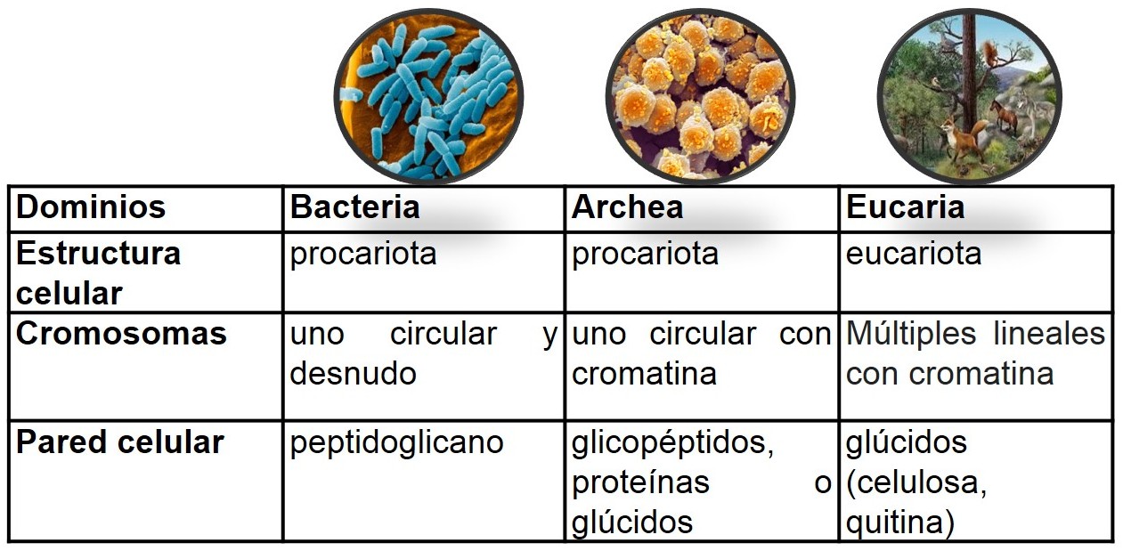 Taxonomía y clasificación de los seres vivos