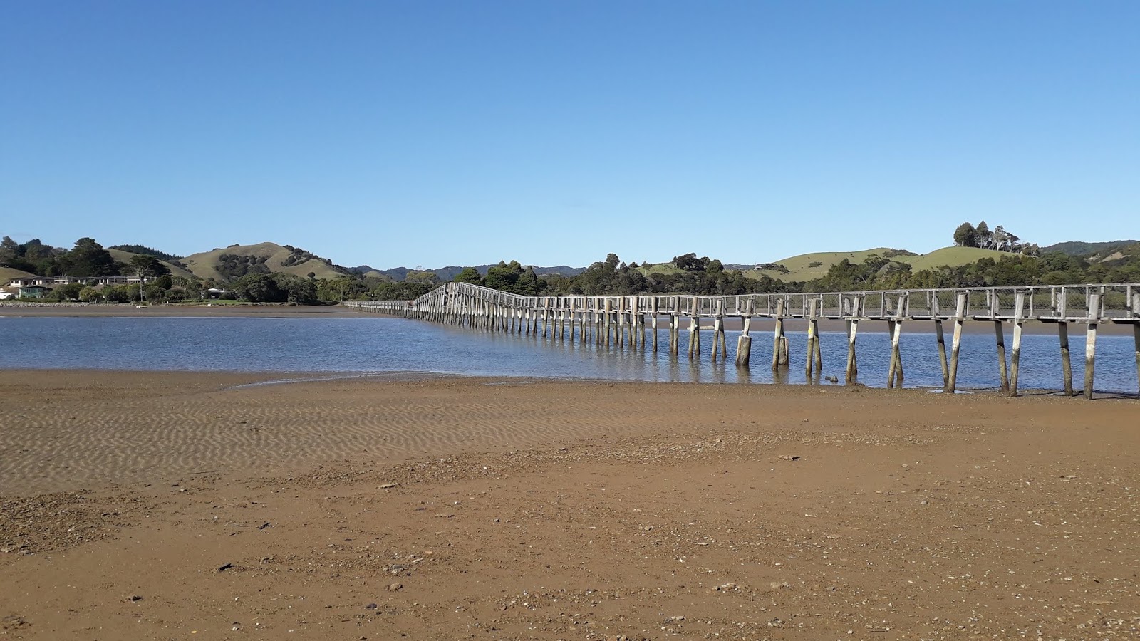Kamo Lady: WHANANAKI