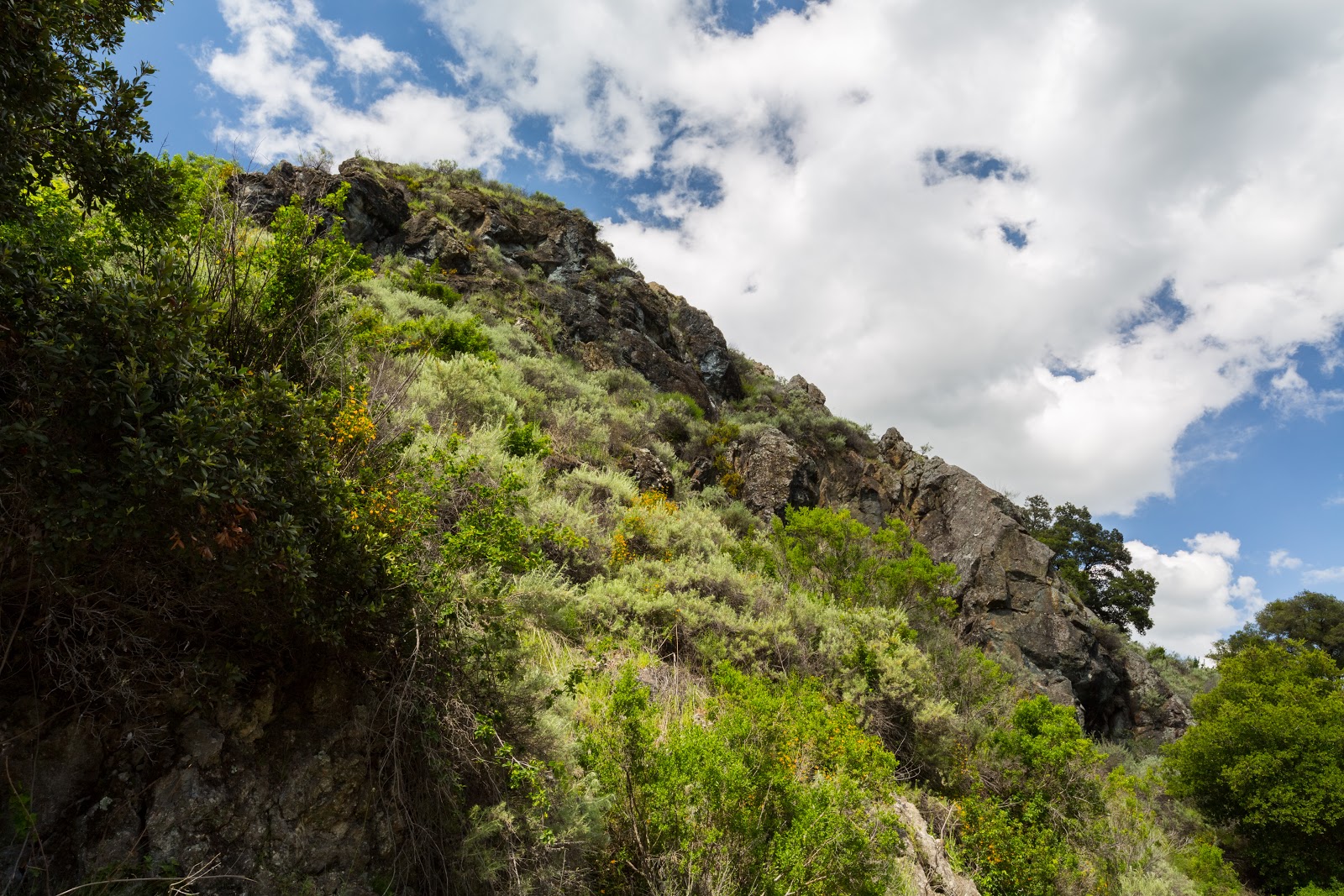Naturetastic Blog: Sunol Regional Wilderness - Sunol, CA (Part 1)