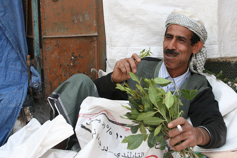 Travelopedia: The Menace of Khat