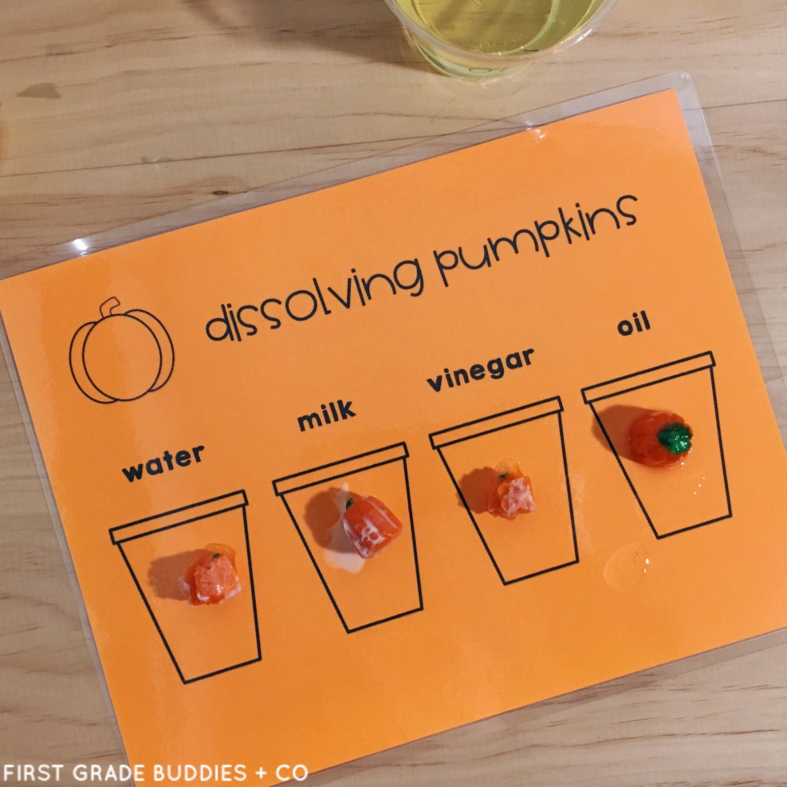Simple Science: Dissolving Pumpkins | First Grade Buddies