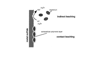Bioleaching and Process
