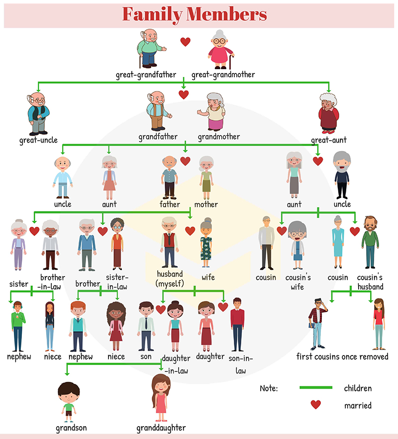 People and family vocabulary - English Grammar A To Z