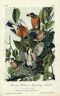 John James Audubon - bio | Facts About All