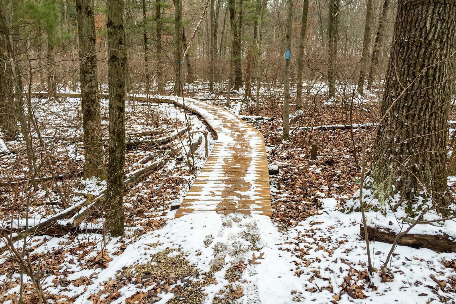 Eric's Hikes: North Country Trail between Middleville and Barry State ...