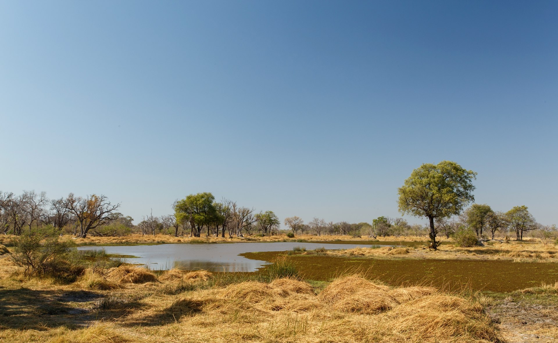 Cubango Okavango River, Botswana (with Map & Photos)