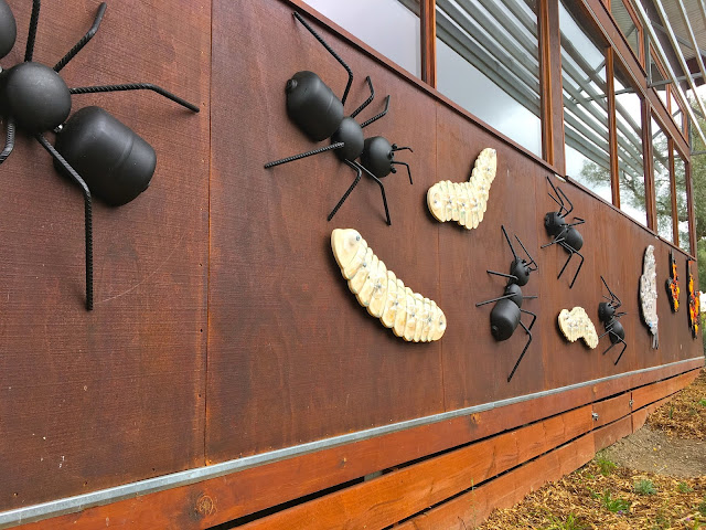 RDO Melbourne: Edendale Farm, Eltham