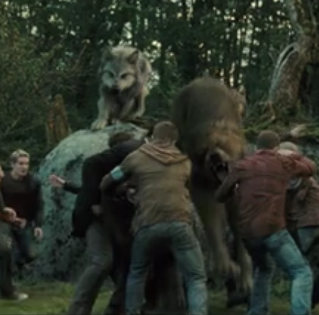 Twilight Vampires And Werewolves Fighting