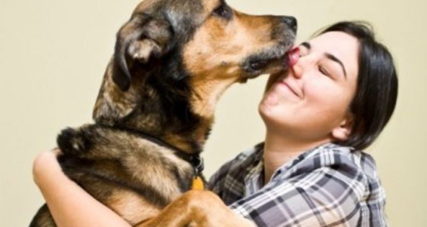 Entrenador para usted y su perro