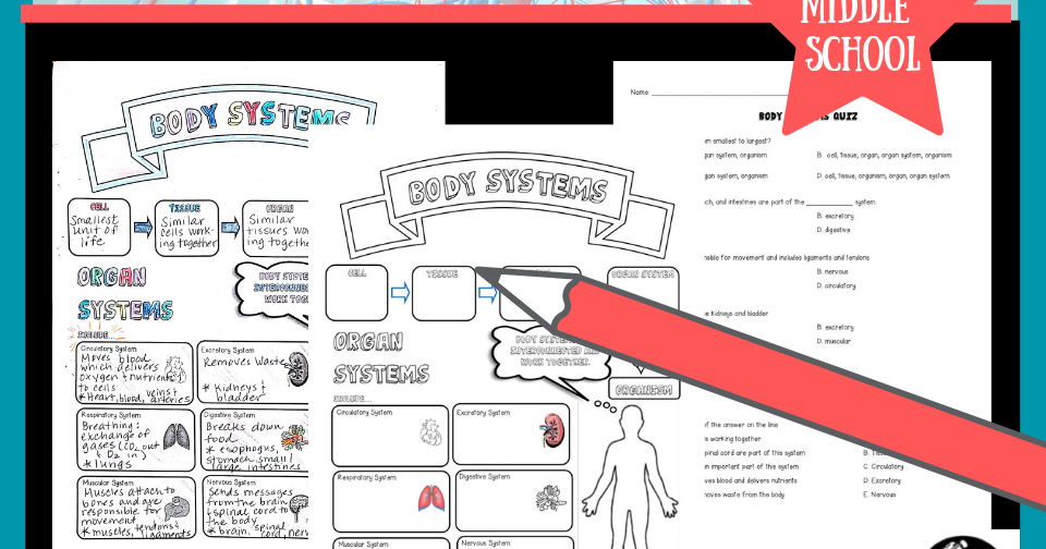 Body Systems Doodle Sketch Notes Power Point Slides Polka Dots And body-systems-doodle-sketch-notes-power-point-slides-polka-dots-and