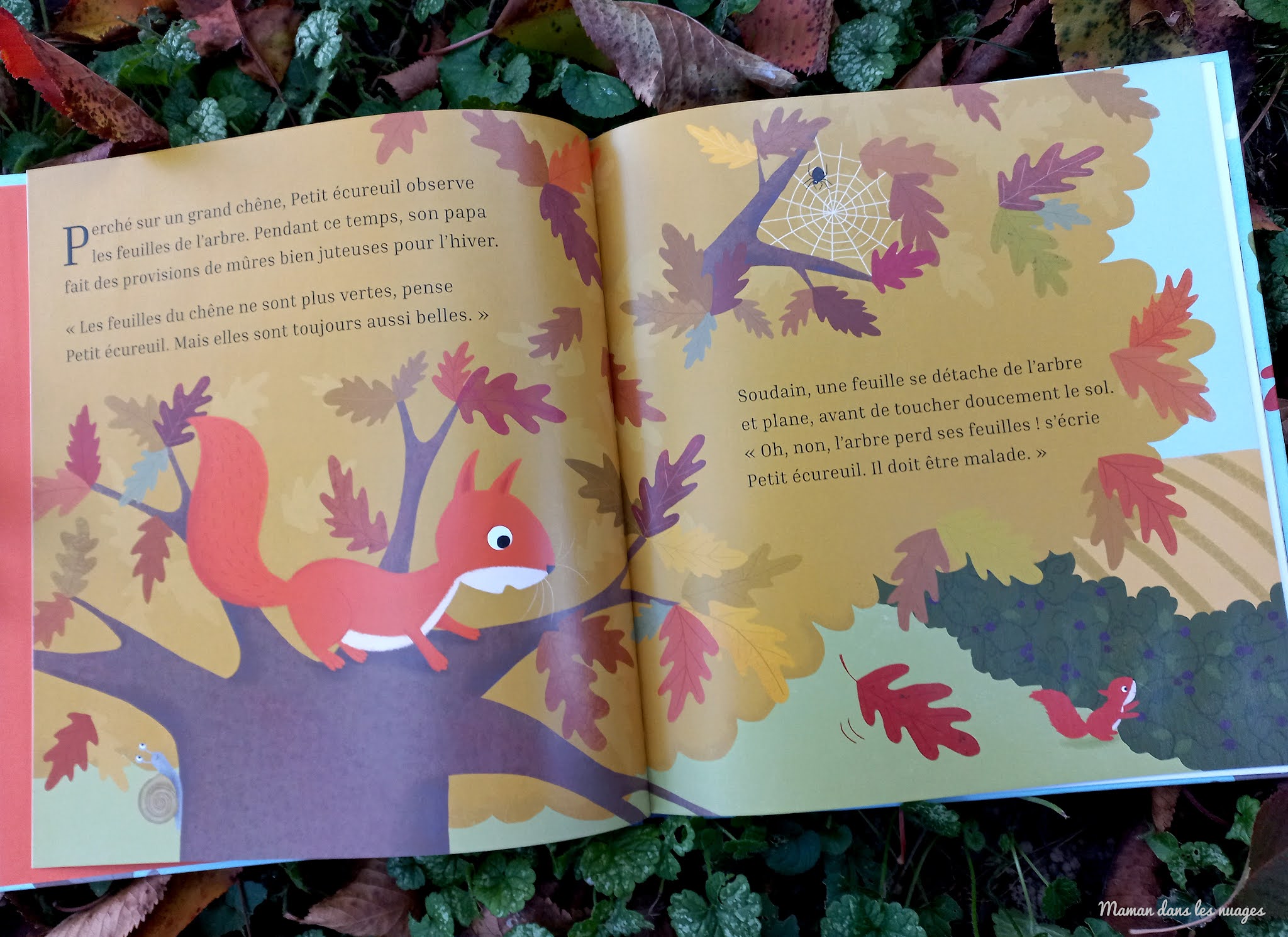 Maman dans les nuages: L'automne de Petit Ecureuil