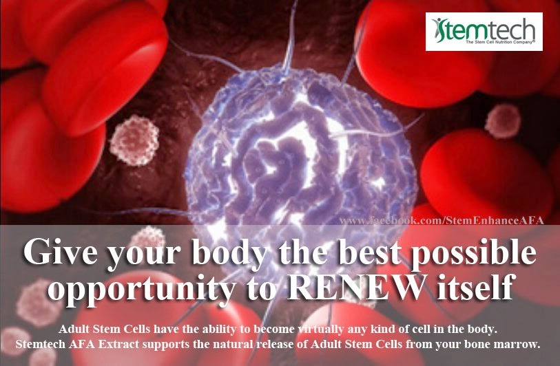 Stemcell Nutrition