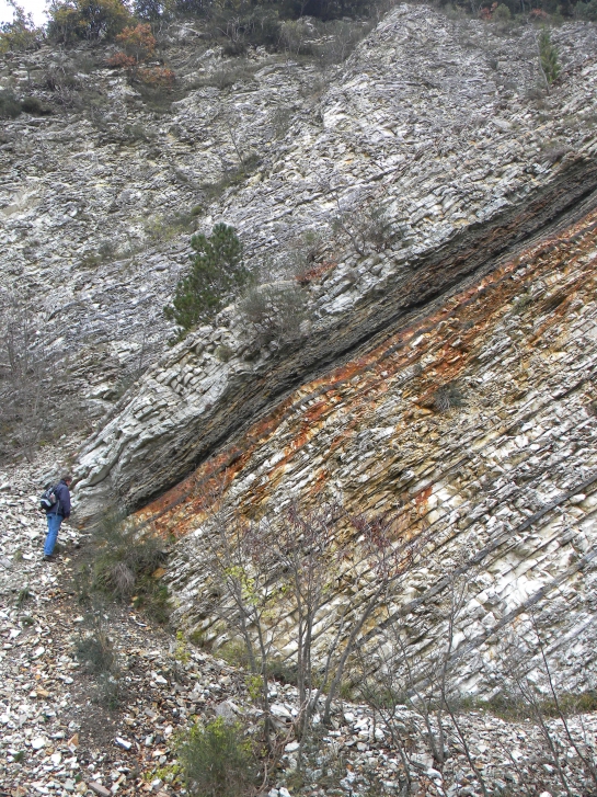 Learning Geology: Historical Anoxic Event and consequences