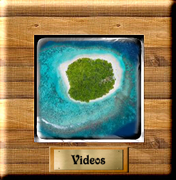 Find an agency for models, photographers, stylists and make-up artists ...