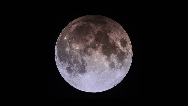 Under The Angsana Tree: Ultra Rare 3-In-1 Moon Phenomenon