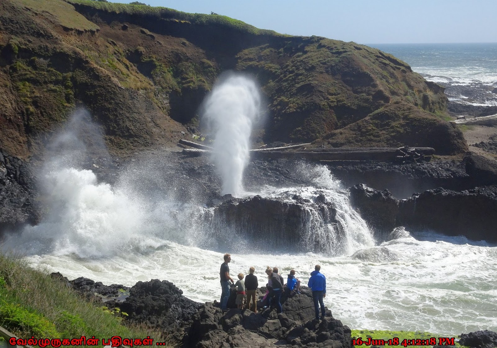 Sprouting Horn Oregon Coast Hwy - Exploring My Life
