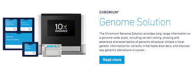 10X Genomics phasing explained - Enseqlopedia