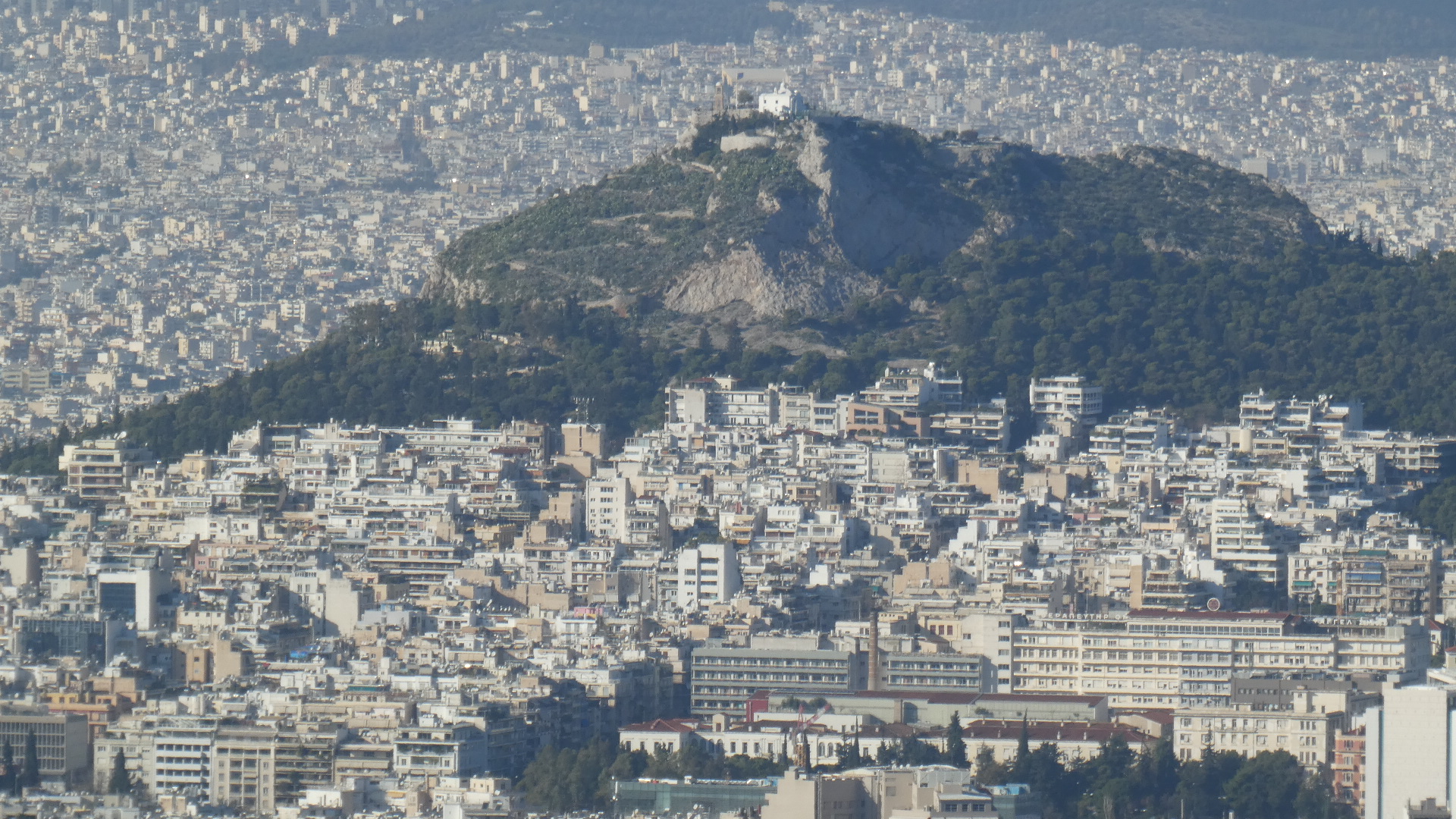 ΑΙΣΘΗΤΙΚΟ ΔΑΣΟΣ ΚΑΙΣΑΡΙΑΝΗΣ