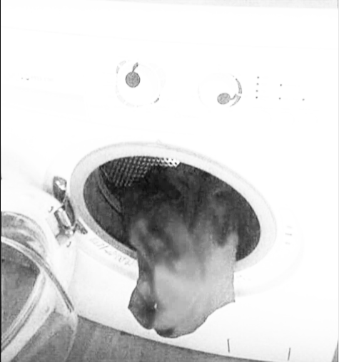 Derek Brueckner's Drawing Courses Information and Examples of Student ...